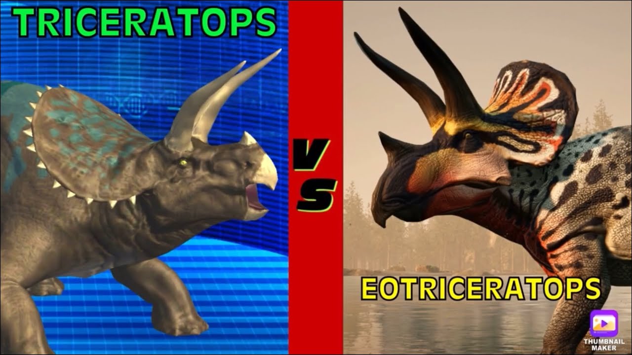 Eotriceratops Skull