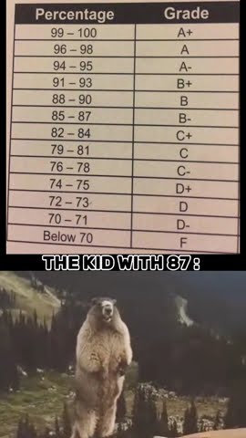 Korean Grading System... Harsh or Hell? 😨 #shorts - YouTube