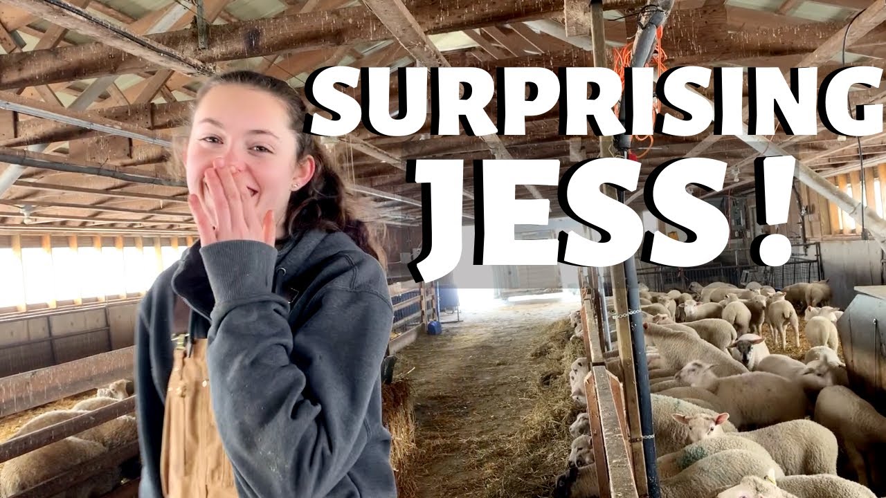 I CAN'T BELIEVE WE PULLED THIS OFF! (A Weaning Day Surprise for Jess ...