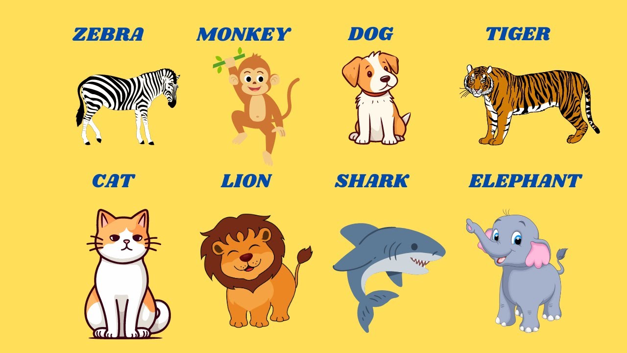 Animals Vocabulary ll 200 Animals Name In English With Pictures ll All ...