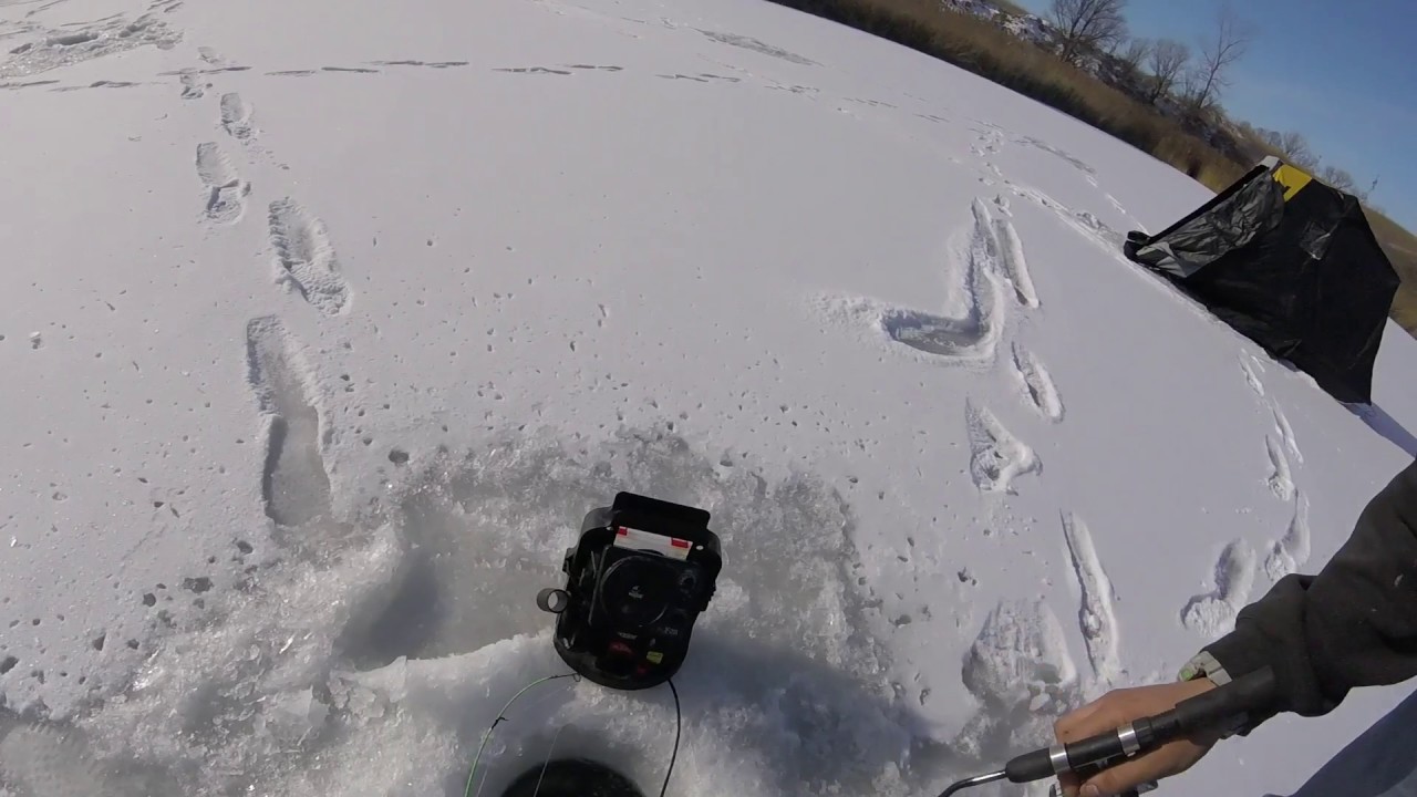 ice fishing a pond - YouTube