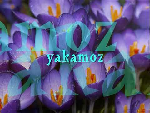 Sibel Can-Benim Adım Aşk-yakamoz