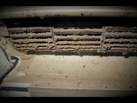A dirty Blower Fan in a split system, air conditioner. - YouTube