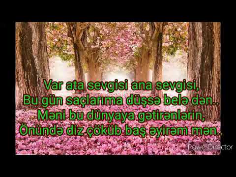 Veten sevgisi... Ramin Ehmedoğlu
