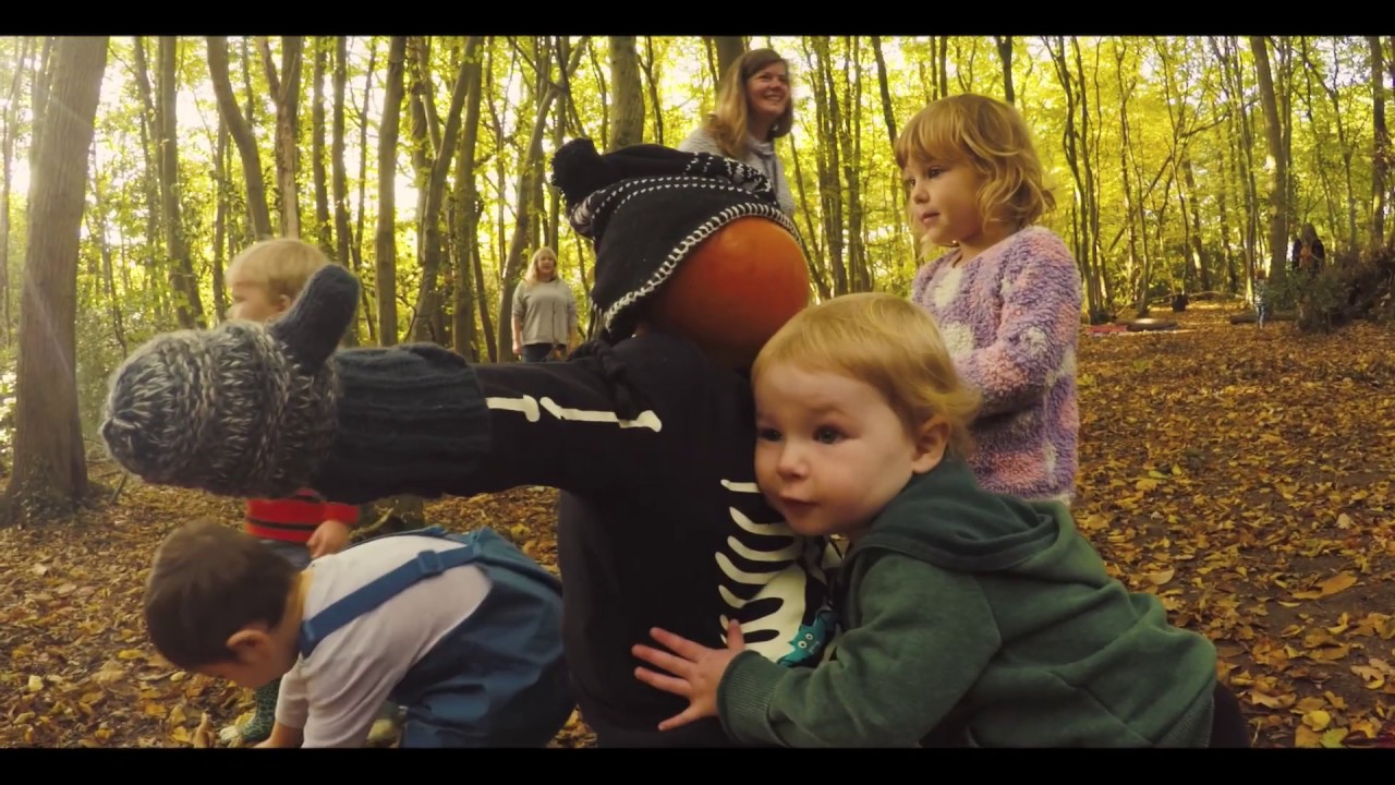 Pumpkin fun @Project Rewild - YouTube