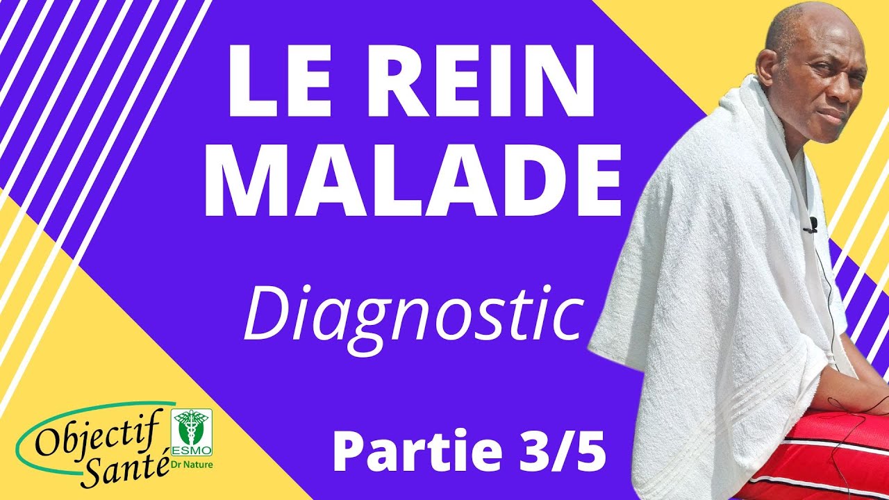 Le rein 3/5 : Quels sont les examens biologiques qui permettent de ...
