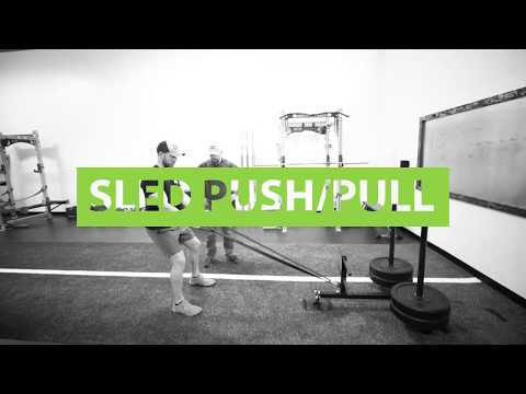 What muscles does sled drag work?