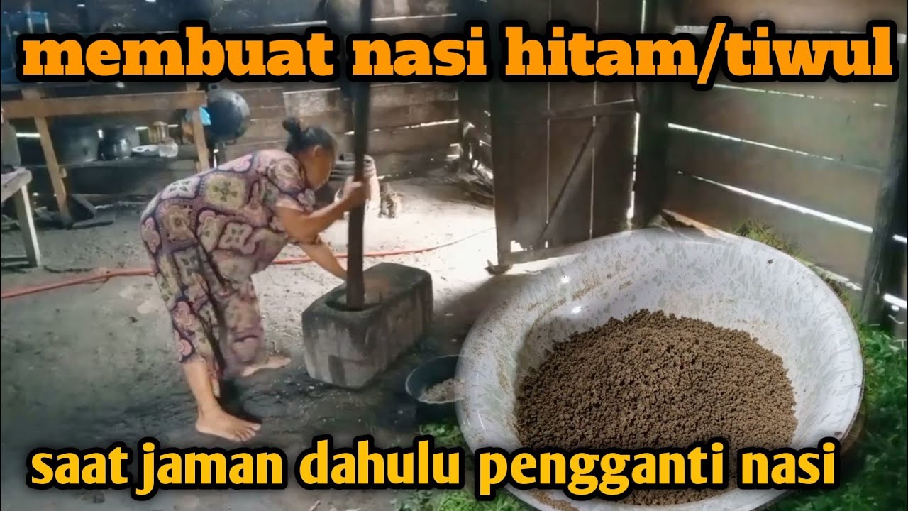 Begini proses membuat nasi hitam sebelum ada nasi pada jaman dahulu ...