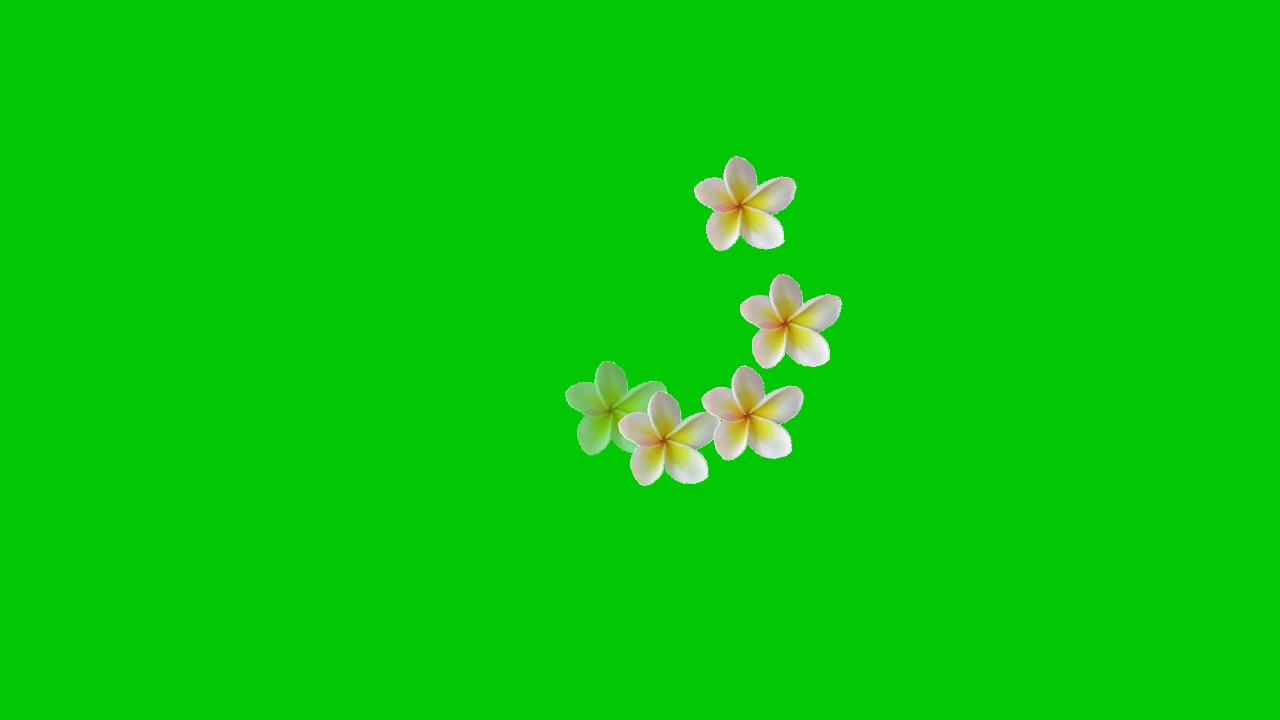 Green screen flower effect - YouTube