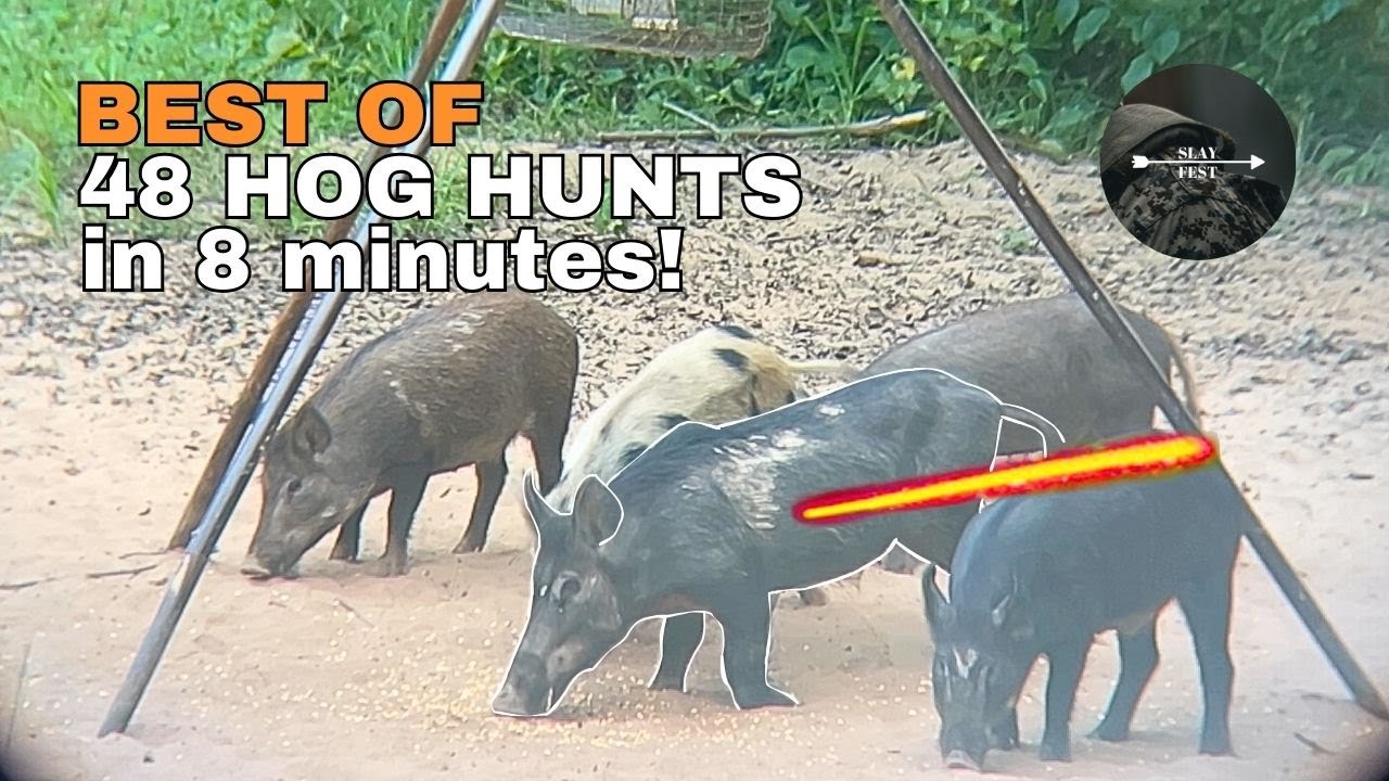 48 Wild Hog Hunts in 8 Minutes! (ULTIMATE BOWHUNTING COMPILATION) - YouTube