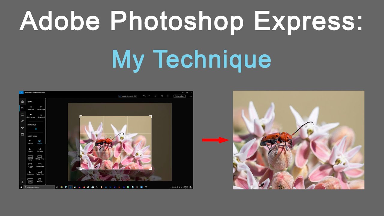 Adobe Photoshop Express Tutorial | My Technique - YouTube