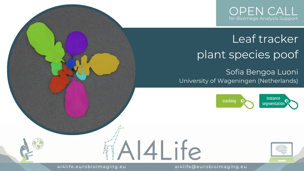 First Open Call use case - Leaf tracker plant species poof - YouTube