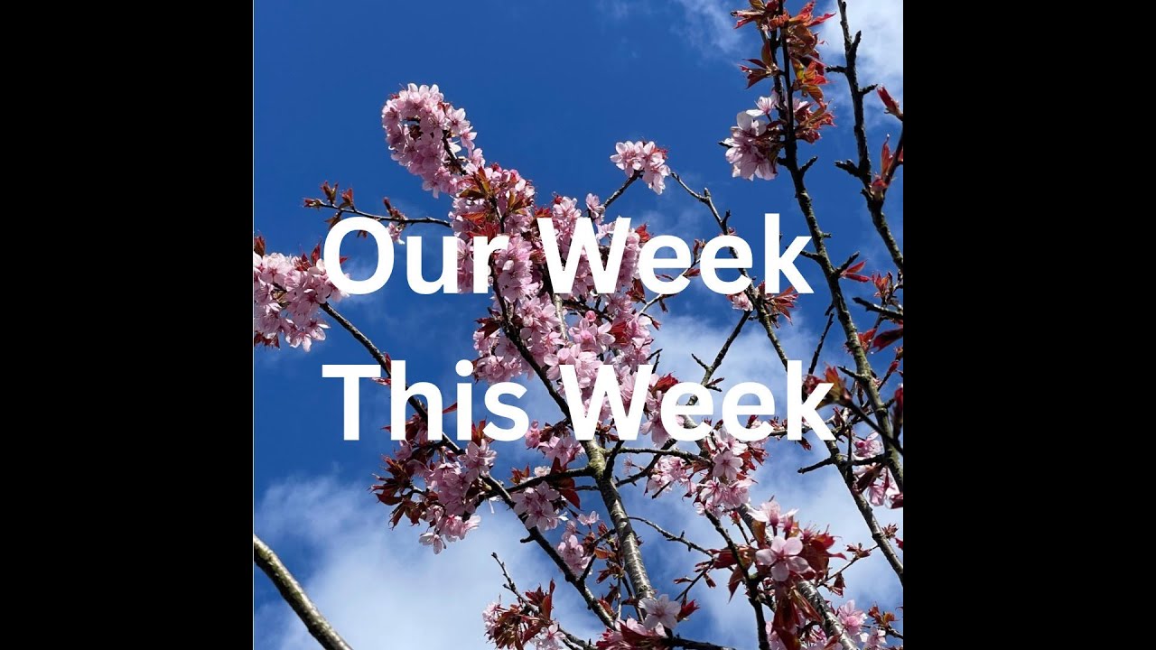 Our Week This Week (24/04/23) - YouTube