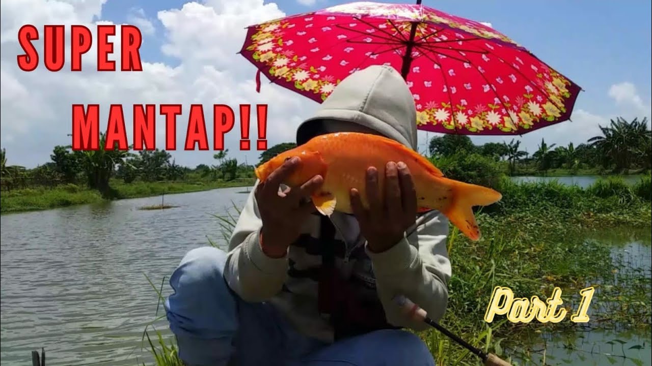 Super Mantap || Tambak Sumber Langgeng Benowo Gresik Mase.. - YouTube