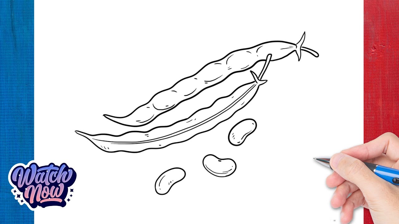 How to draw Green Bean - YouTube