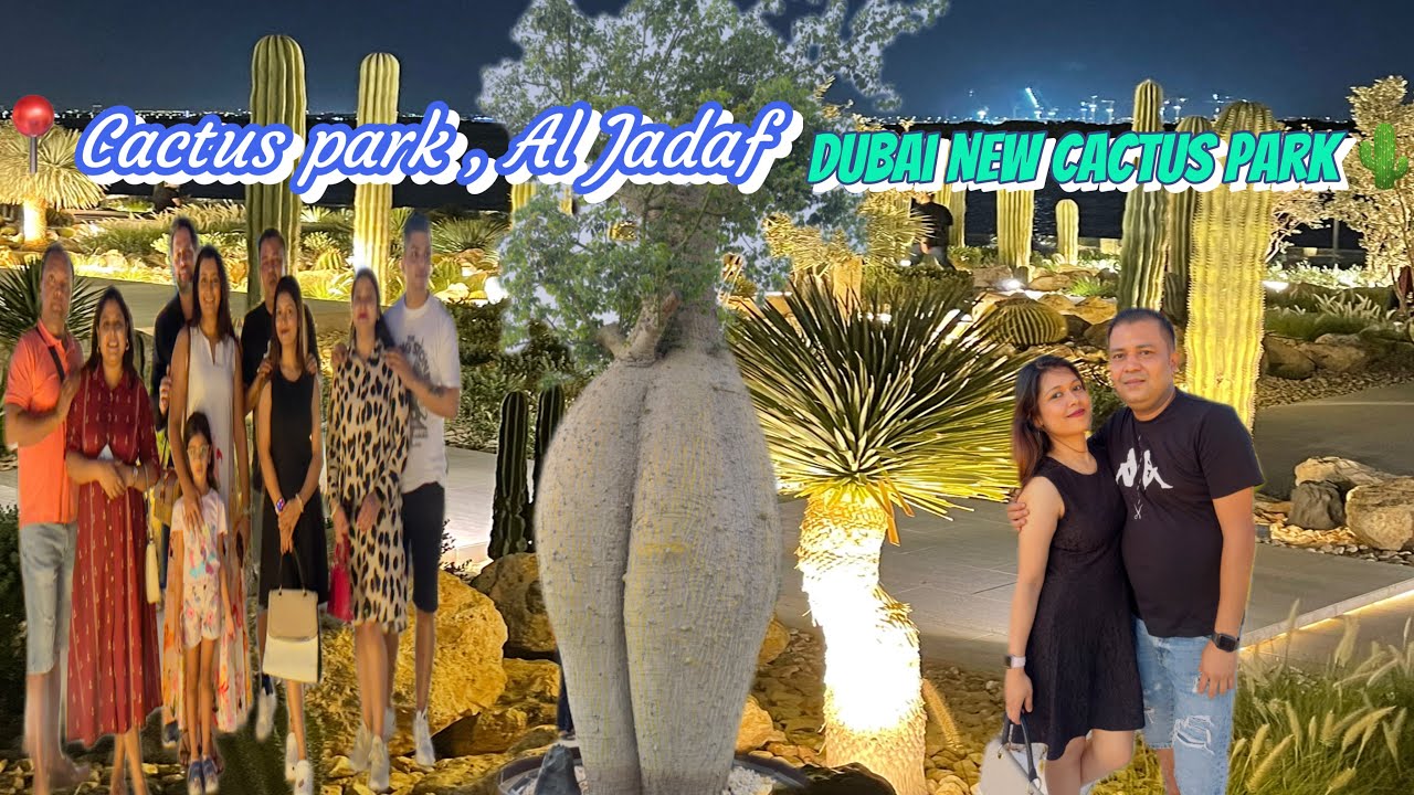 New attraction in UAE || Dubai’s New Cactus park 🌵|| Cactus park , Al ...