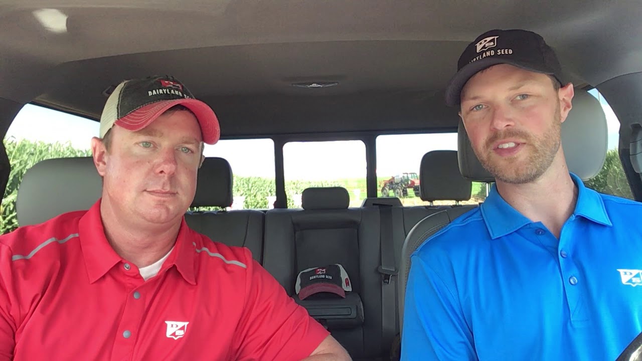 What is HiDF Silage? - YouTube