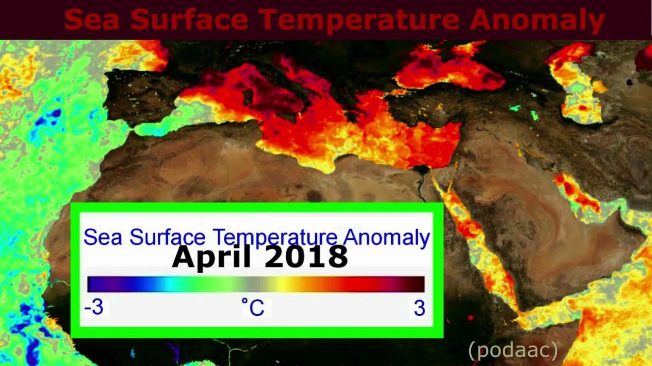 【Marine Heat Wave】The Mediterranean Sea and the Black Sea - YouTube