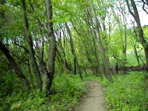 Luton Park - Orange Loop Mountain Biking Trail - Rockford Michigan.AVI ...