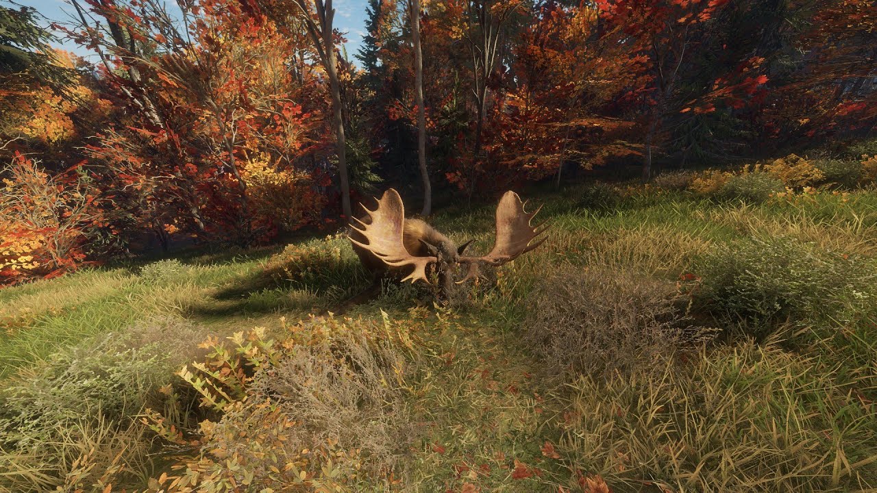 COTW Diamond Moose vs Grelck Drilling - YouTube