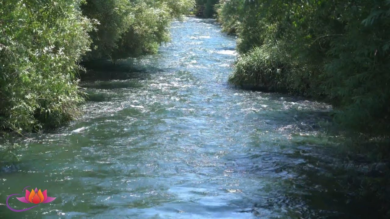 Relaxing Music Deep Sleep Water | Clever Relaxing Music - YouTube