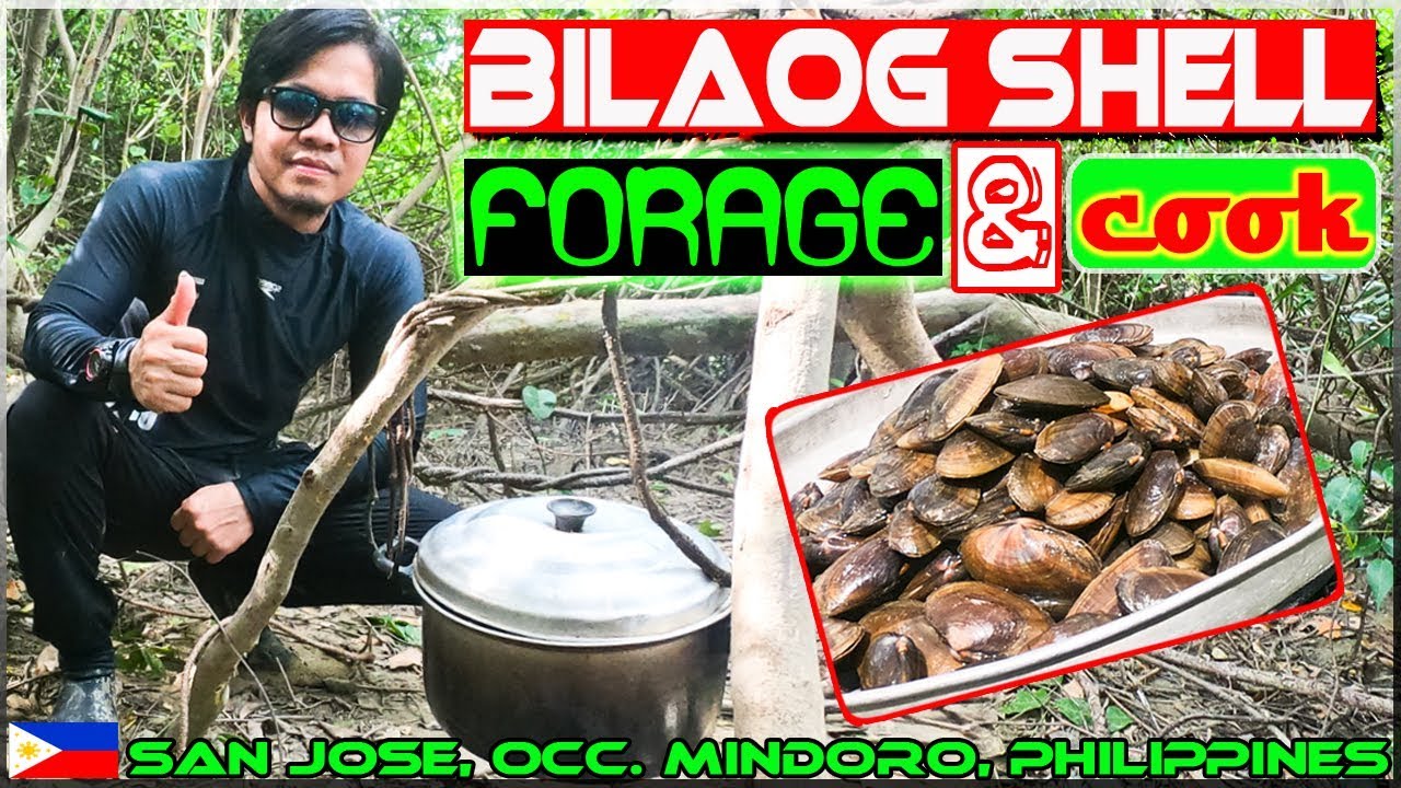 EP27 - Bilaog Shell Forage and Wild Cook - YouTube