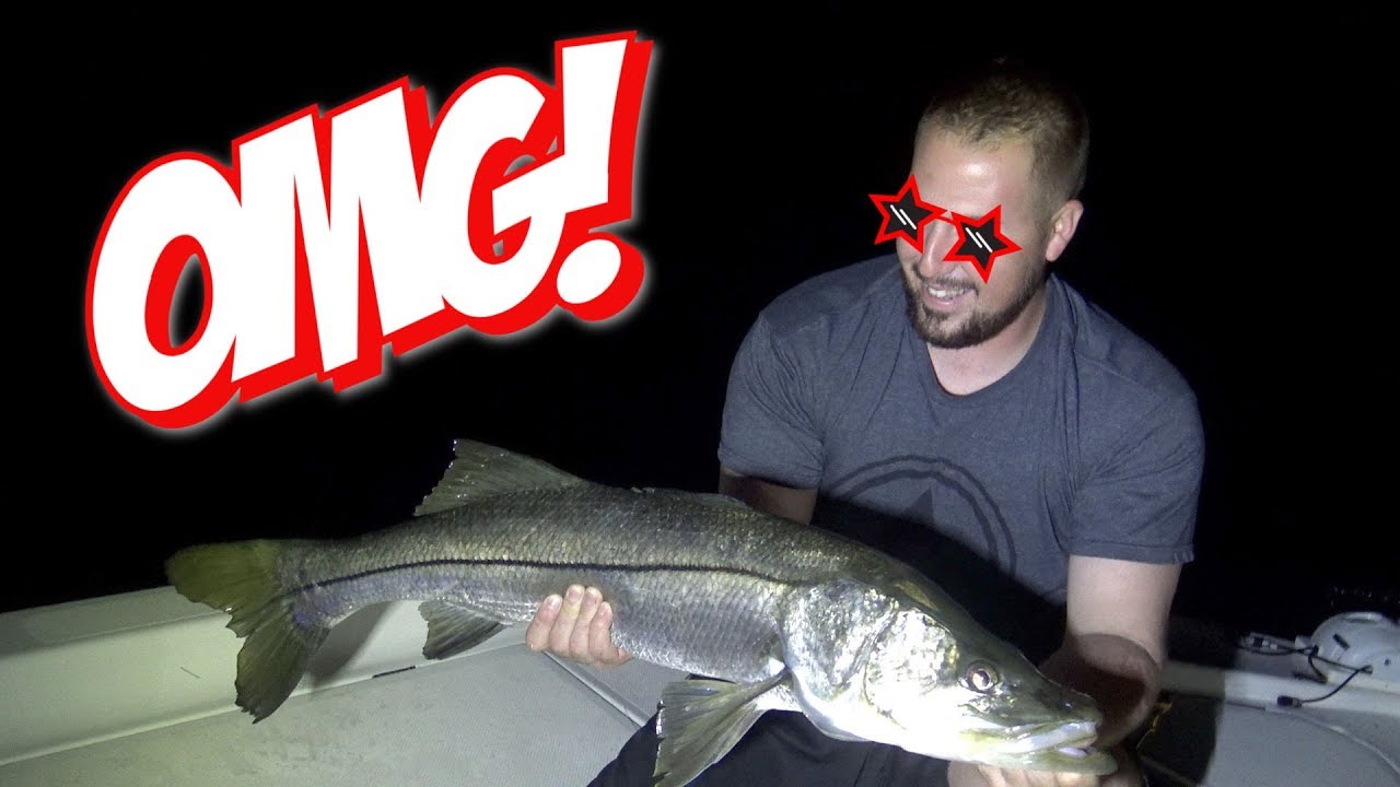 Snook Fishing At Night With LIVE Mullet - YouTube