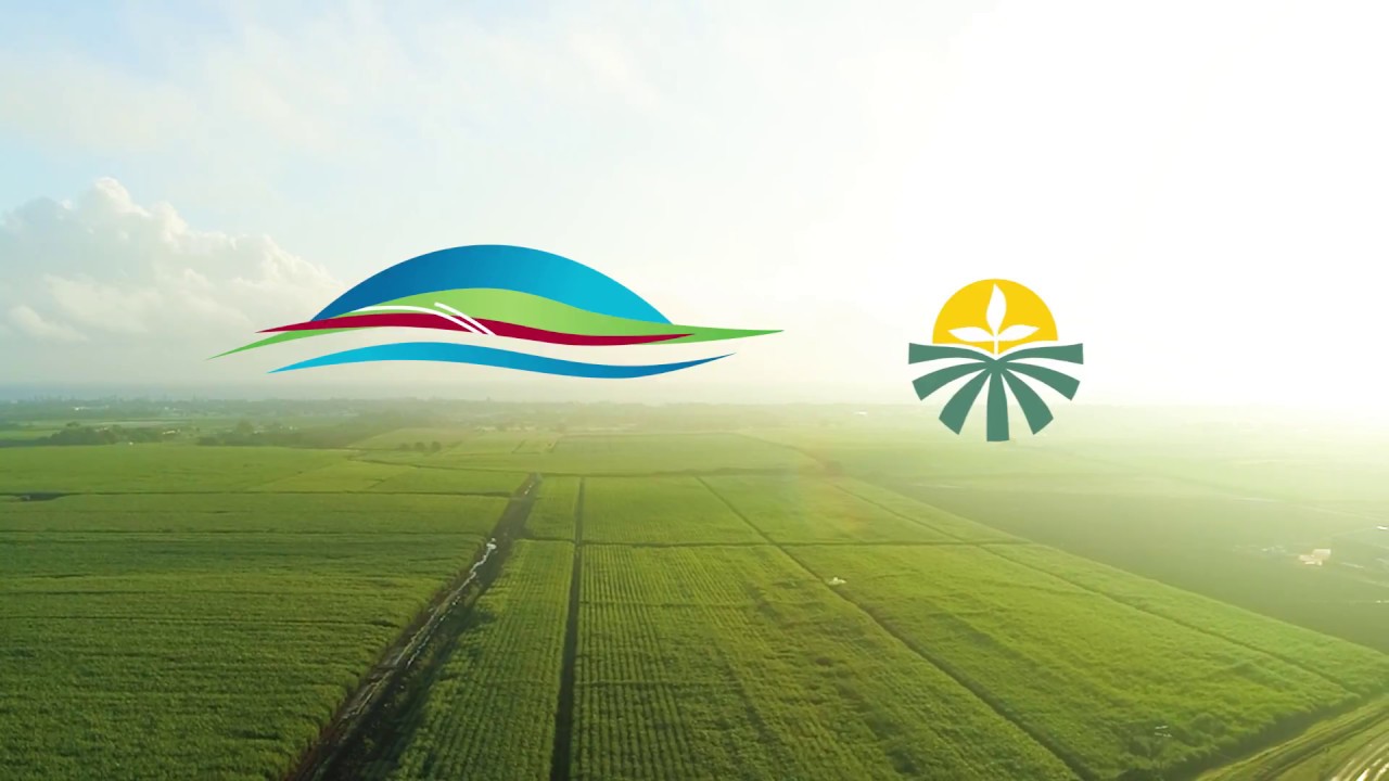 Bundaberg Agriculture Promotional Video - YouTube