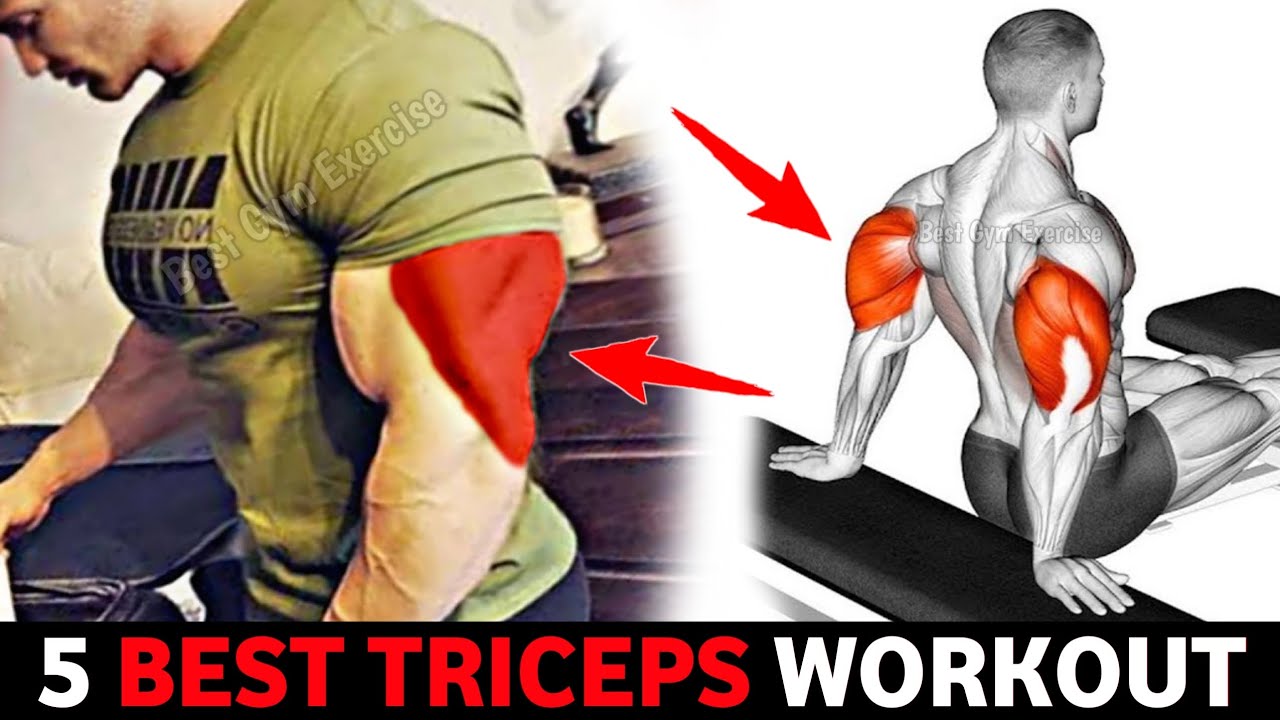 5 Best Exercises To Build Triceps At Gym - YouTube