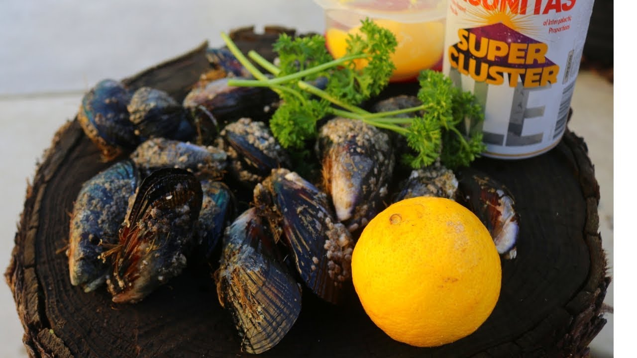 Forage and Cook WILD Mussels in Beer, Butter, and Garlic - Fresh ...