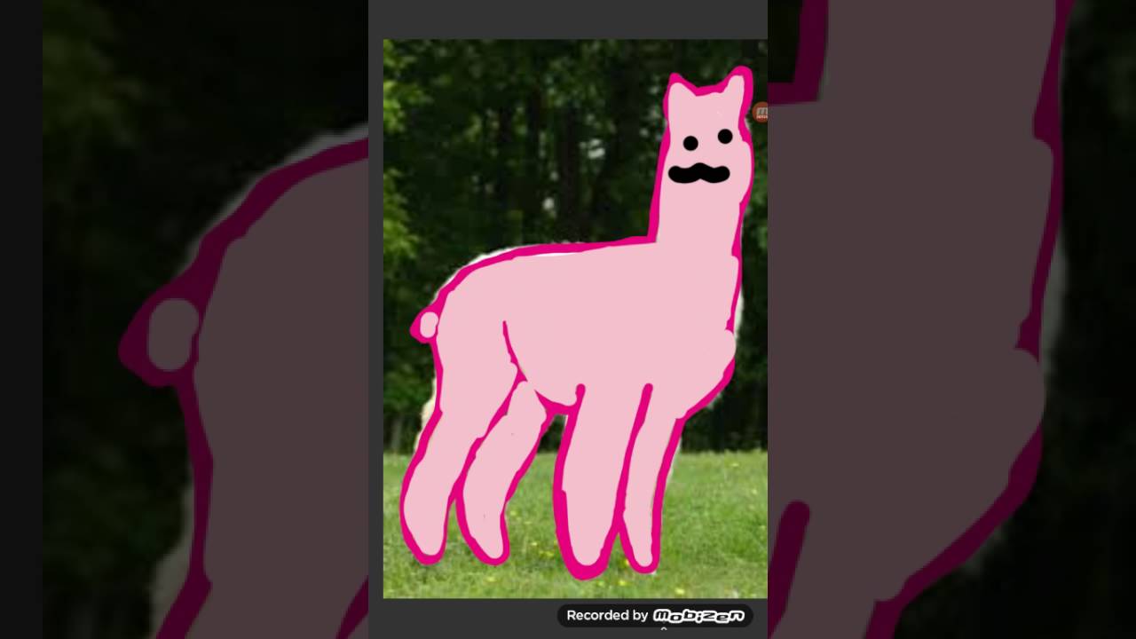 Alpaca rap - YouTube