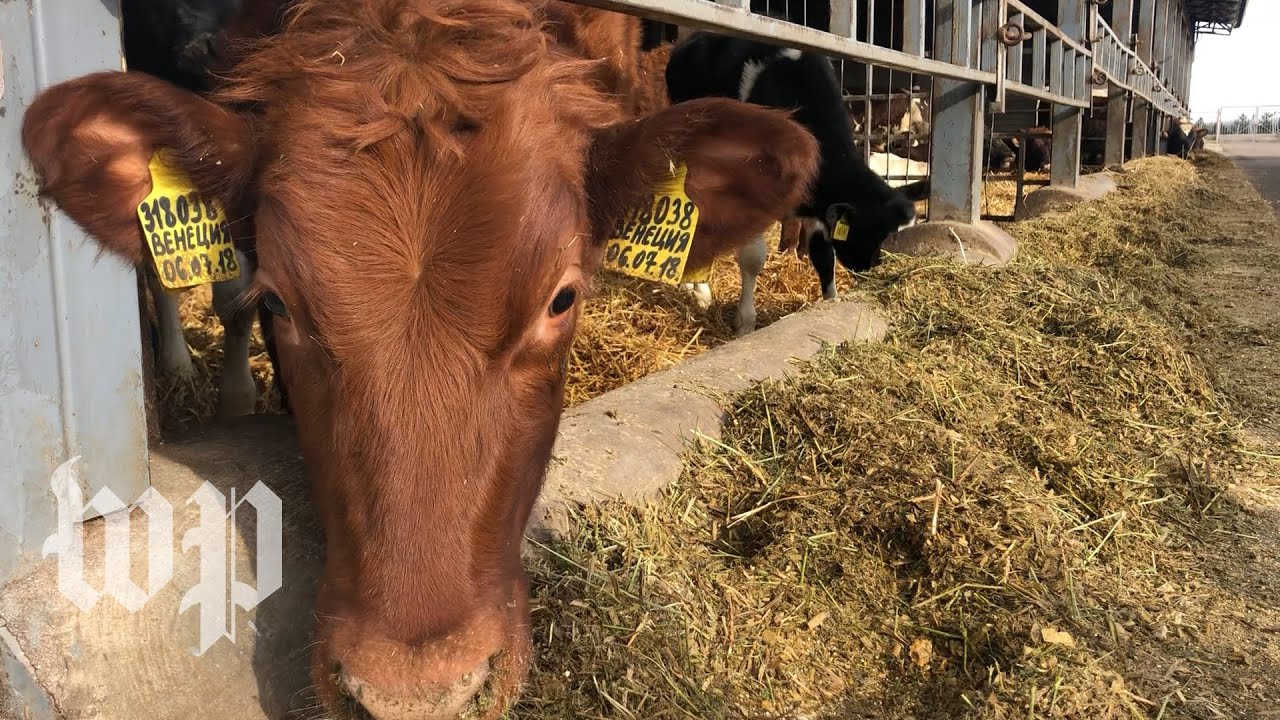 See the farm that stocks the table of one of the world's richest ...