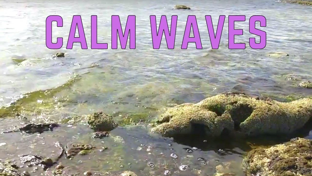 Sleep For 11+ Hours Straight Fall Asleep Fast and Easy | Sounds Of Slow ...