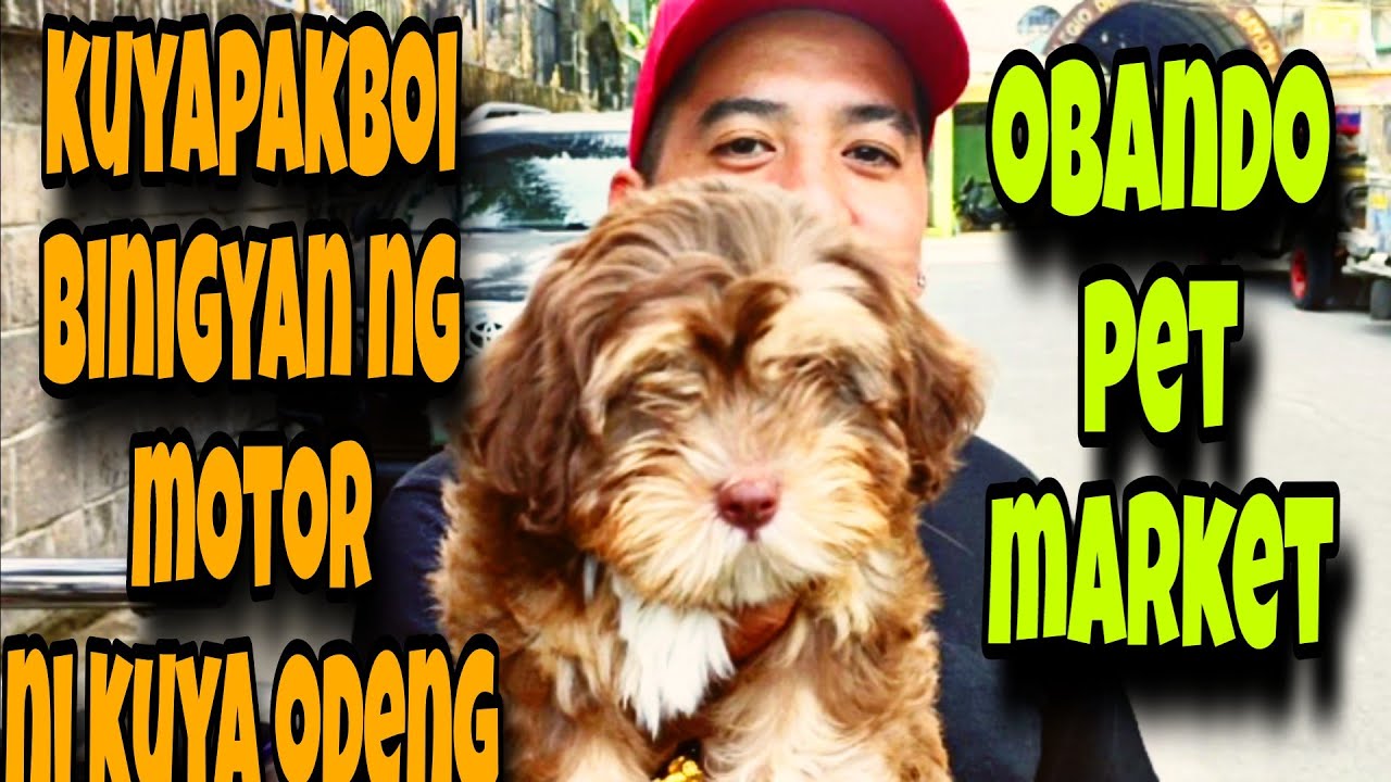 OBANDO PET MARKET January 3, 2024 - YouTube