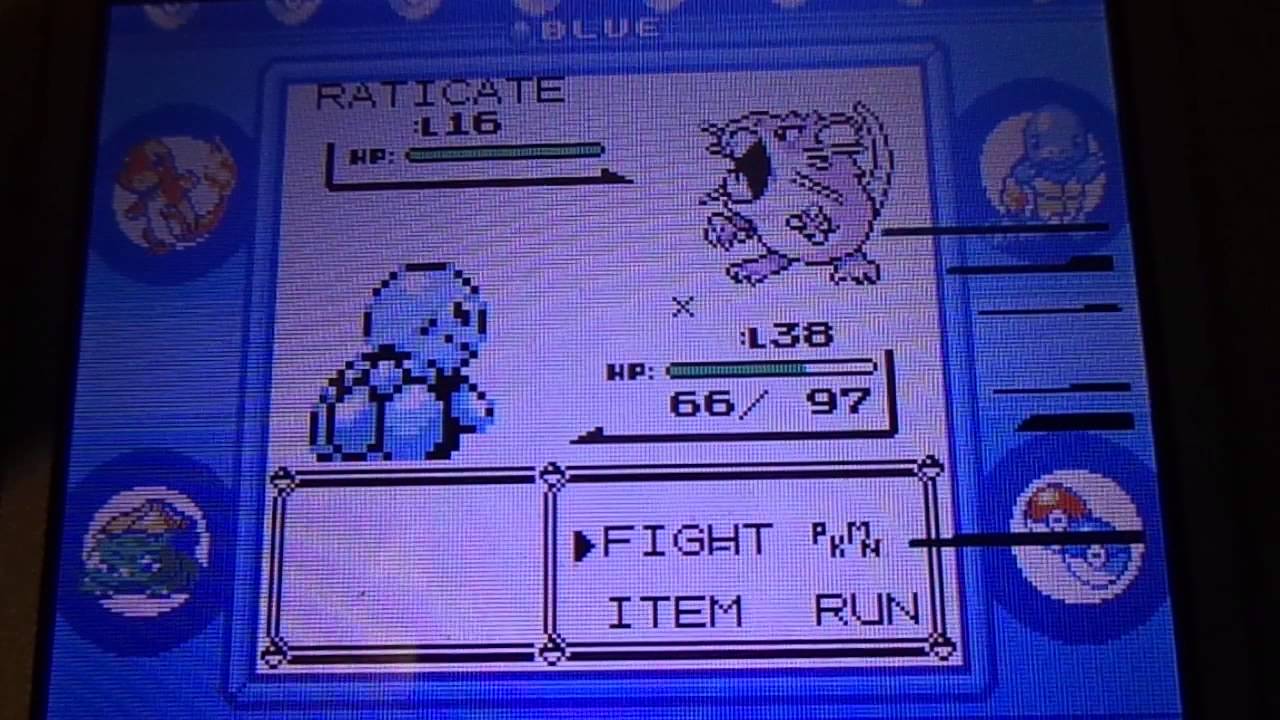 Raticate --- Blue's Version - YouTube