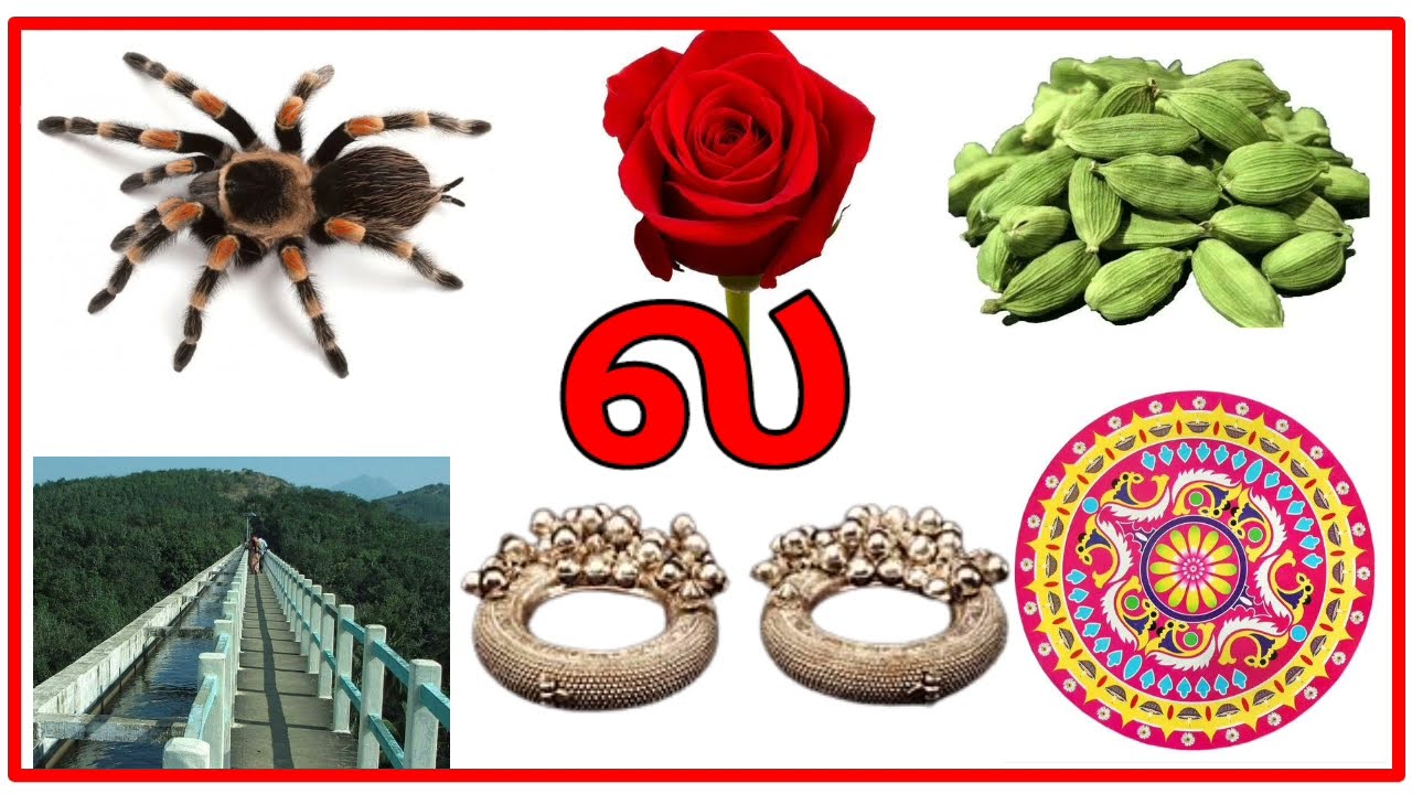 "ல" யில் வரும் வார்த்தைகள்/"ல" சொற்கள்/ La words in Tamil/ உயிர் மெய் ...