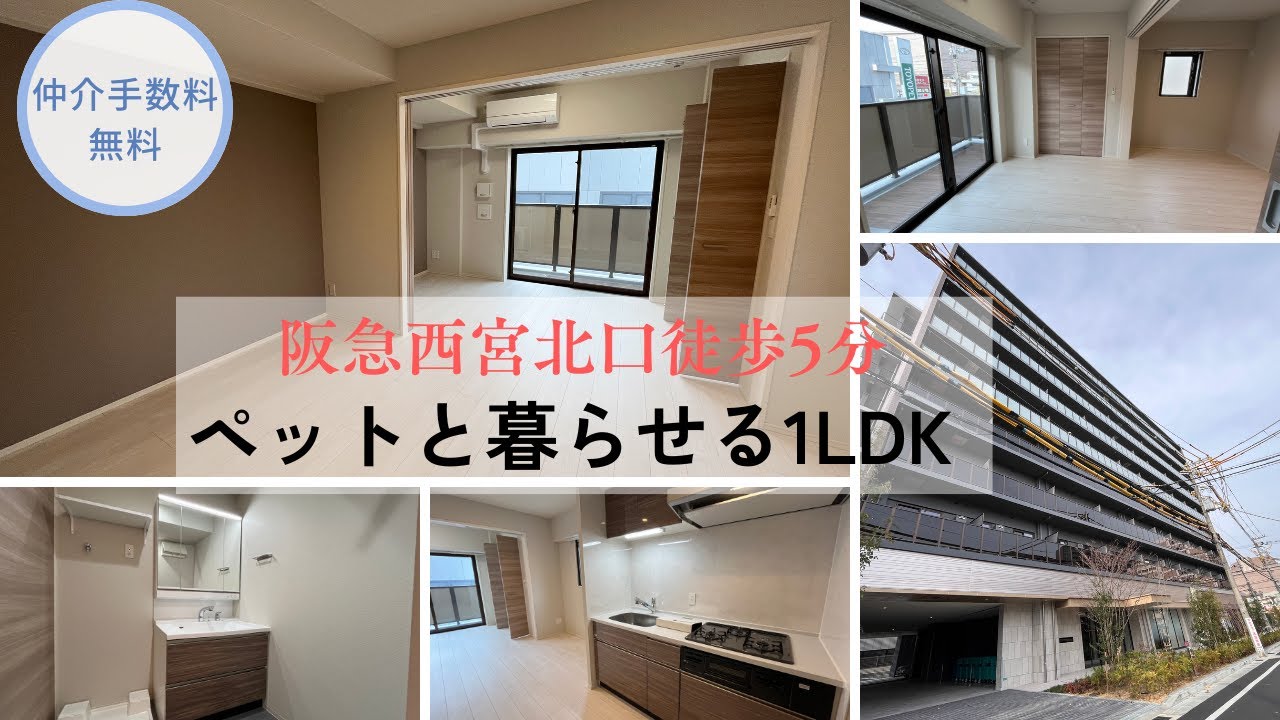 【西宮北口賃貸・1LDK】阪急西宮北口徒歩5分👍ペットと暮らせる1LDK Moriwake不動産では仲介手数料無料です - YouTube