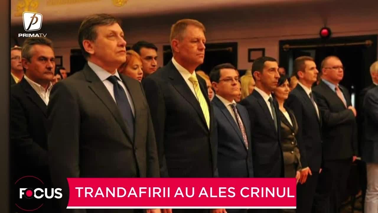 Trandafirii au ales Crinul - YouTube