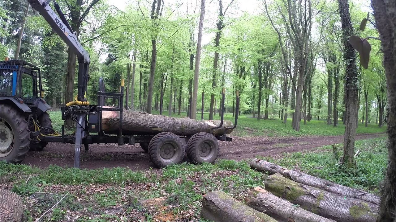 oak logs - YouTube
