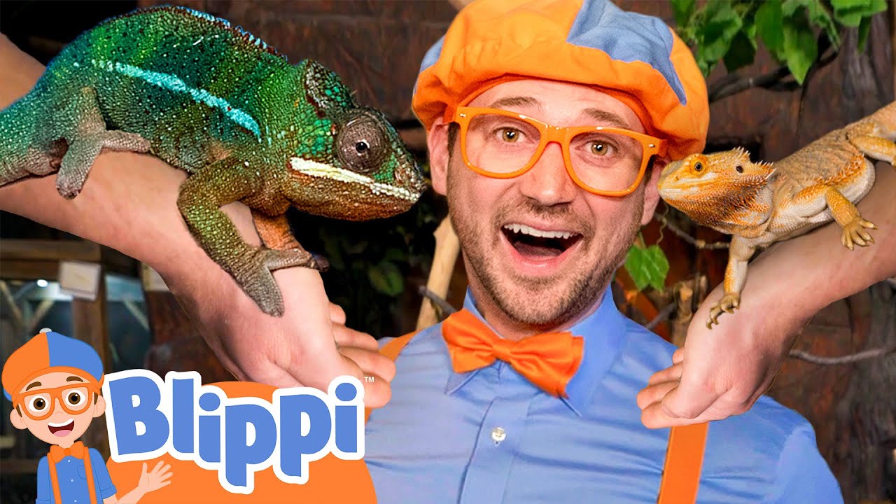 Blippi Meets Reptile Friends at the Aquarium | Educational Videos for ...