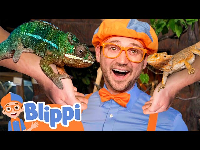 Blippi Meets Reptile Friends at the Aquarium | Educational Videos for ...