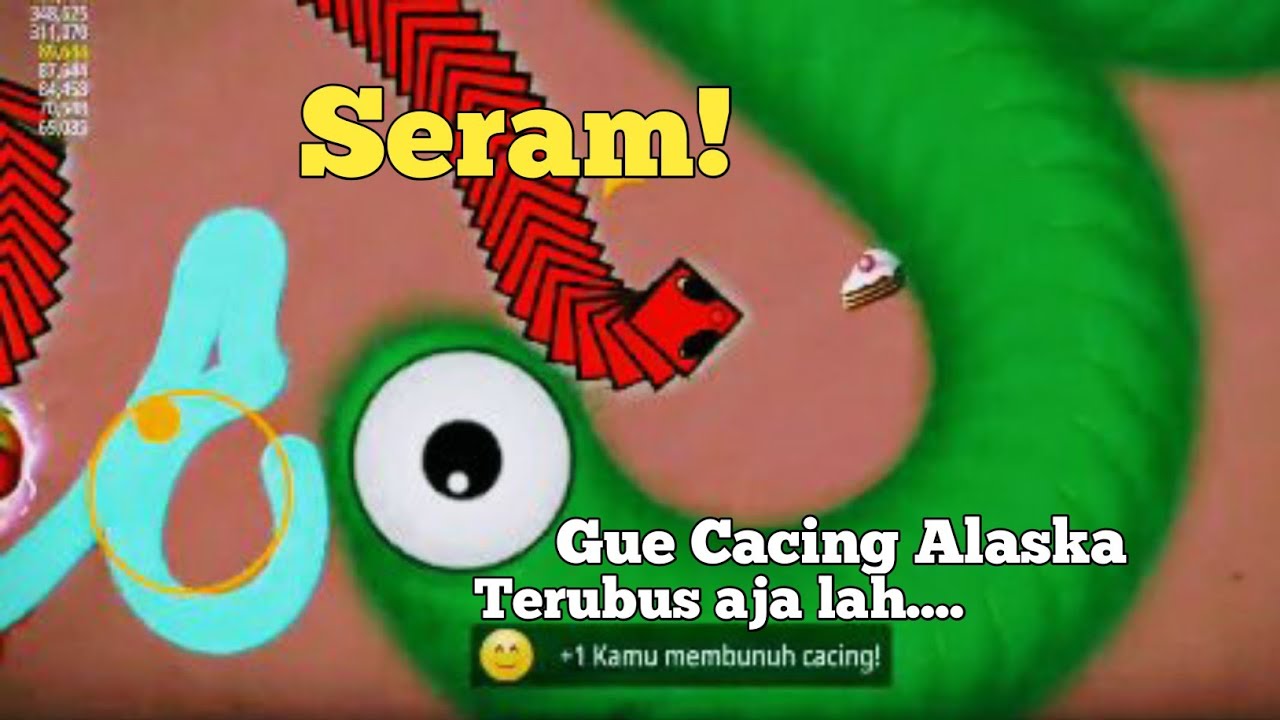 Jebak Cacing Besar Alaska |Belajar dari Top 1 cacing buat bunuh cacing ...