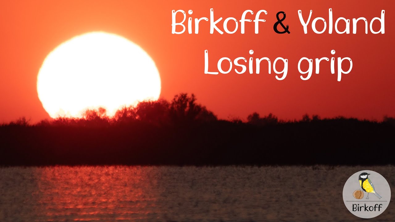 Birkoff & Yoland - Losing grip (Music Video) - YouTube Music