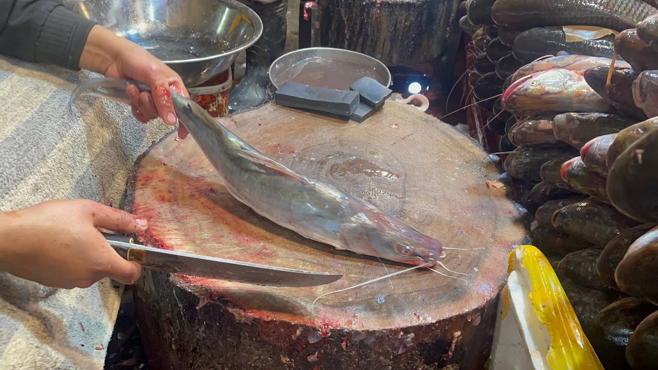 Fishing bast fish for eating bast fish food in home - YouTube