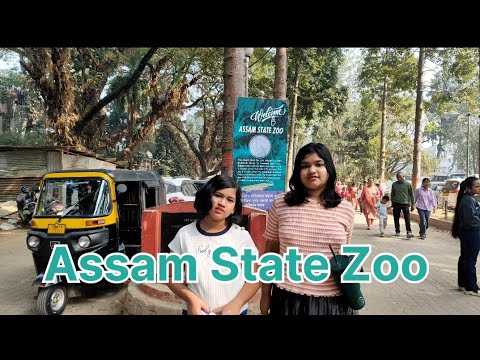 Amazing Wild Animal Experience at Assam State Zoo 🐅 | Kisu and Nishi ...