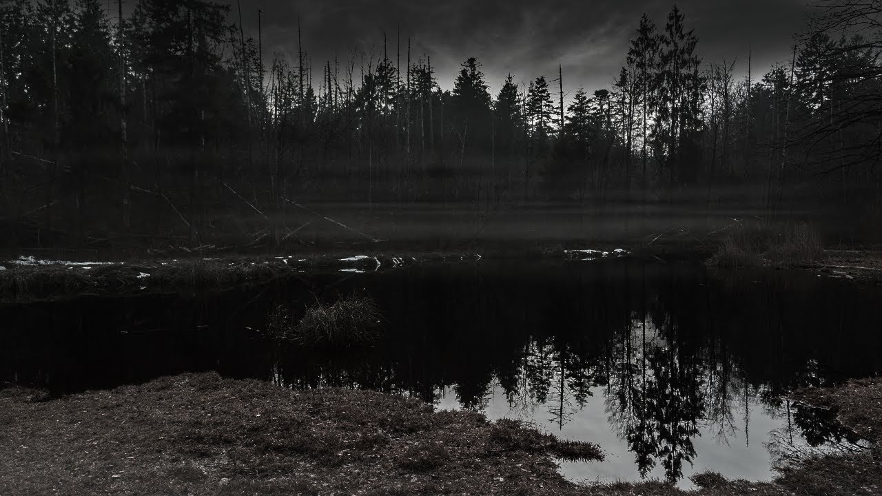 THE SWAMP | Horror Story | The Warning Woods - YouTube