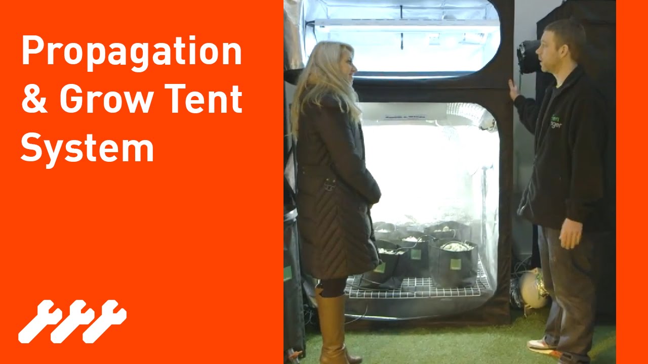 How to build a hydroponic cloning tent or box system, with Greenfinger ...