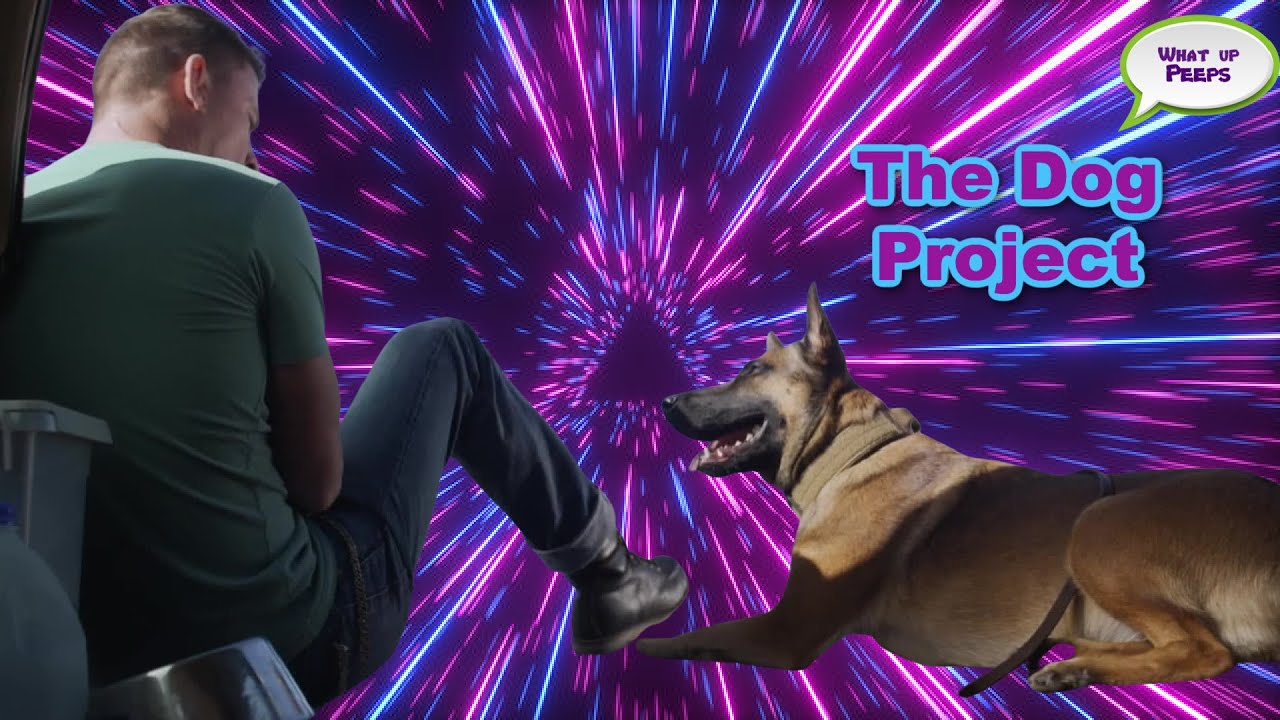 The Dog Project - YouTube