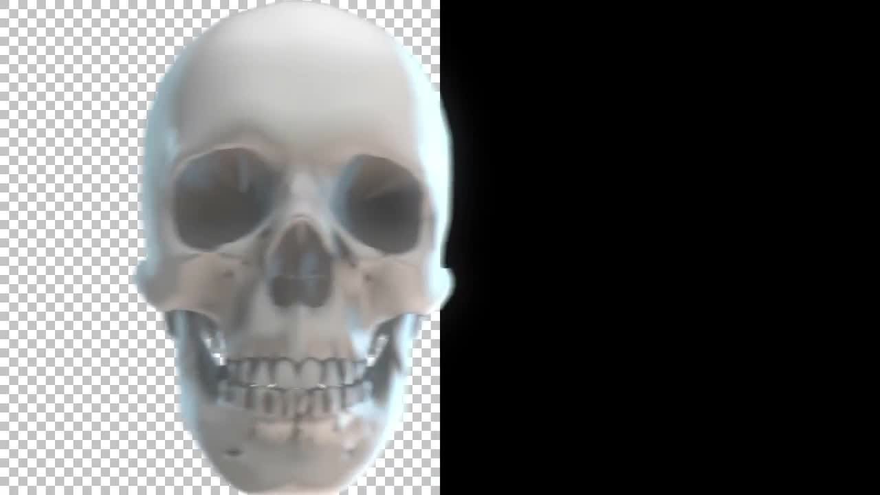 Skull Transitions Pack 4K Motion Graphics - YouTube