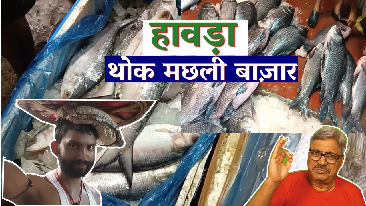 Howrah Wholesale Fish Market l Howrah Fish Market 2023 l Fish Market In ...